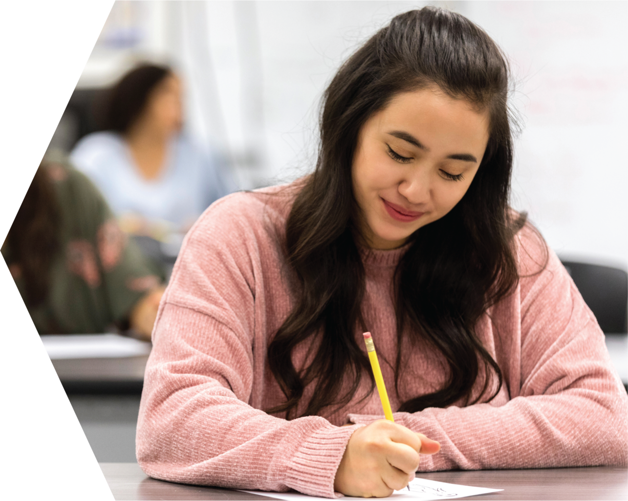 Advanced Placement Courses | FLEX College Prep